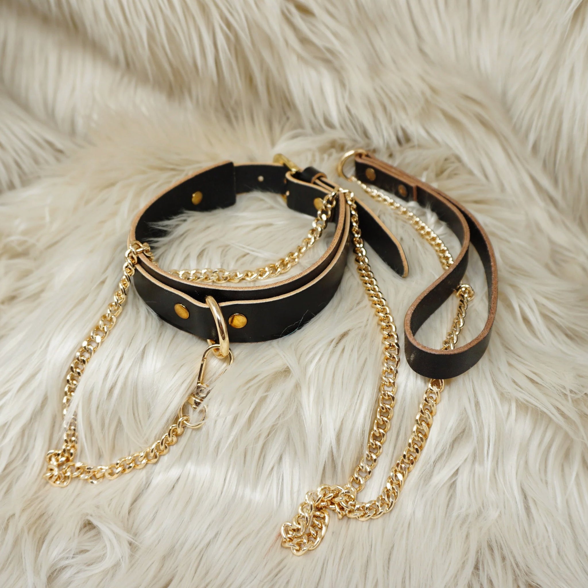 Gold D Ring Collar & Leash Set - Black– Kittens & Kink